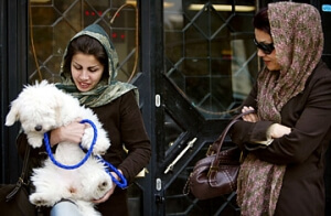 Islam and Dogs, What's the Beef?! - Dogs First Ireland