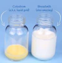 Colostrum for dogs, a serious immune booster and gut healer - Dogs First