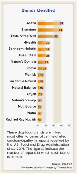 How is Orijen Dog Food Causing DCM in Dogs?!! - Dogs First