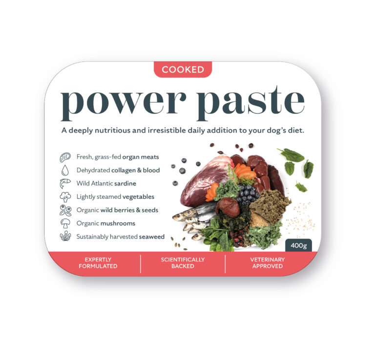 Power Paste - making meal times great again! - Dogs First